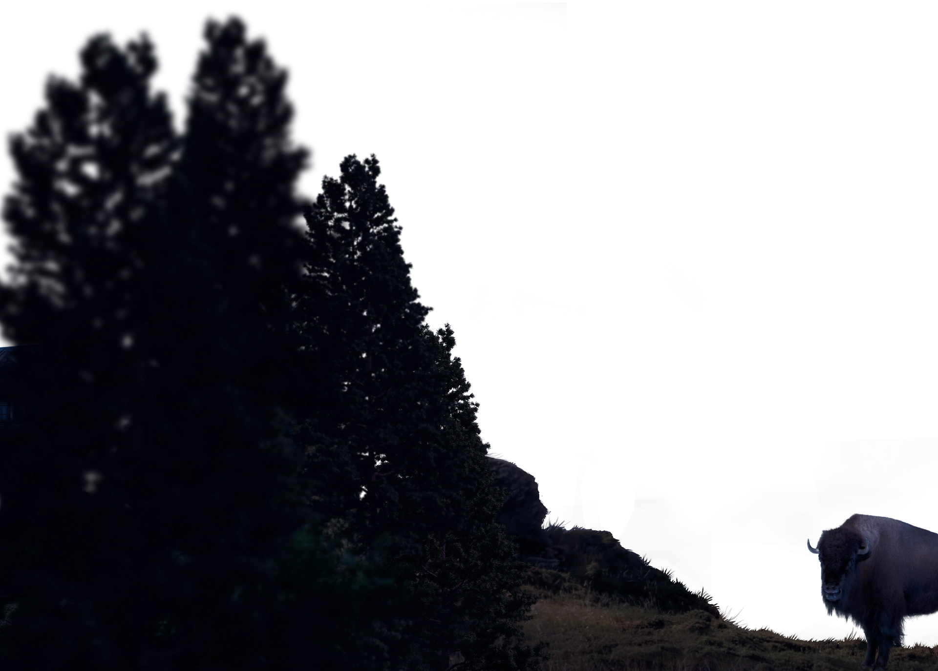 WAY OF THE HUNTER - DLC AURORA SHORES